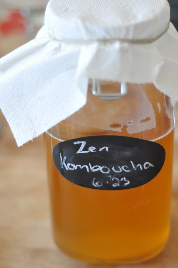 Kombucha at Home – Everything After Coffee